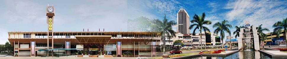 By-Laws | Official Portal of Petaling Jaya City Council (MBPJ)